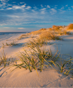 Welcome To LBI - Long Beach Island, NJ